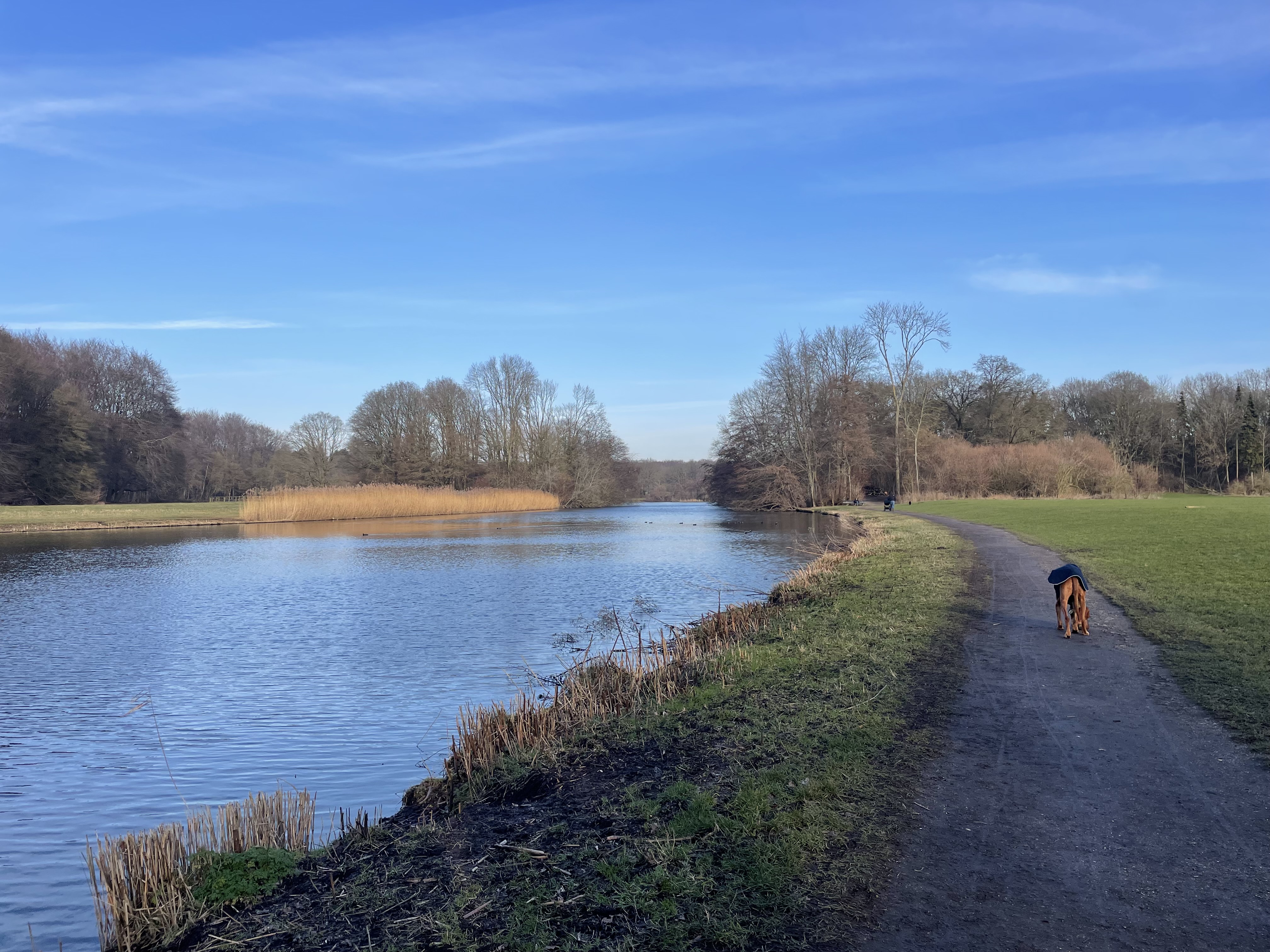 Amsterdamse Bos, Amstelveen – Loslopen.net